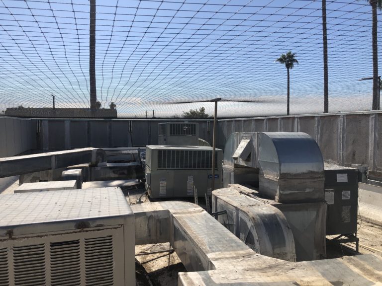 Pigeon Deterrent Installation - Pigeonpros.com